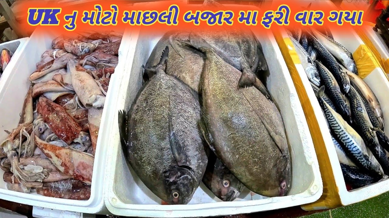 યુકે નુ મોટો માછલી બજાર મા અમે ફારી એક વાર ગયા || UK nu motu fish ...