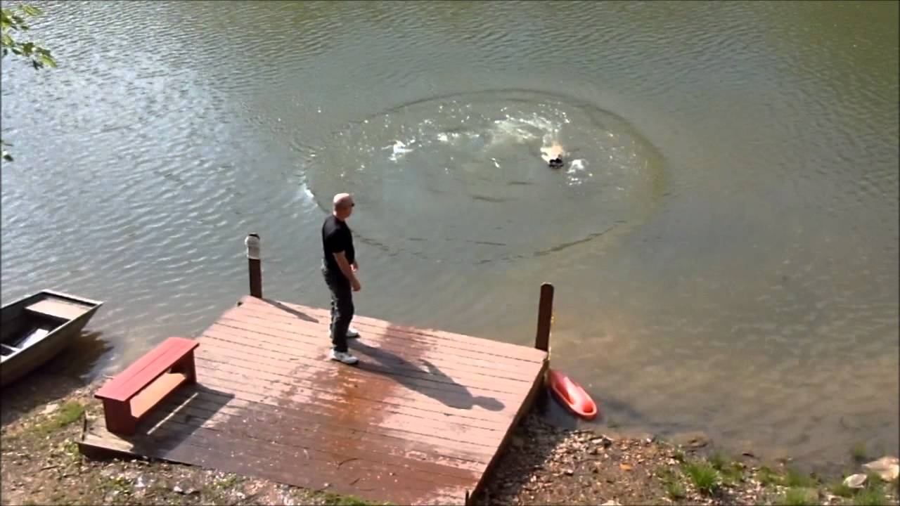 Dock Diving Fish Pond - YouTube