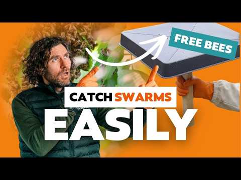 Build The Worlds Best Swarm Magnet - How A Russian Scion Helps You Catch More Swarms