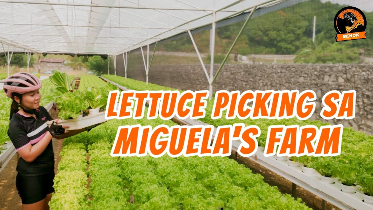 Miguelas Farm Angono Rizal - YouTube