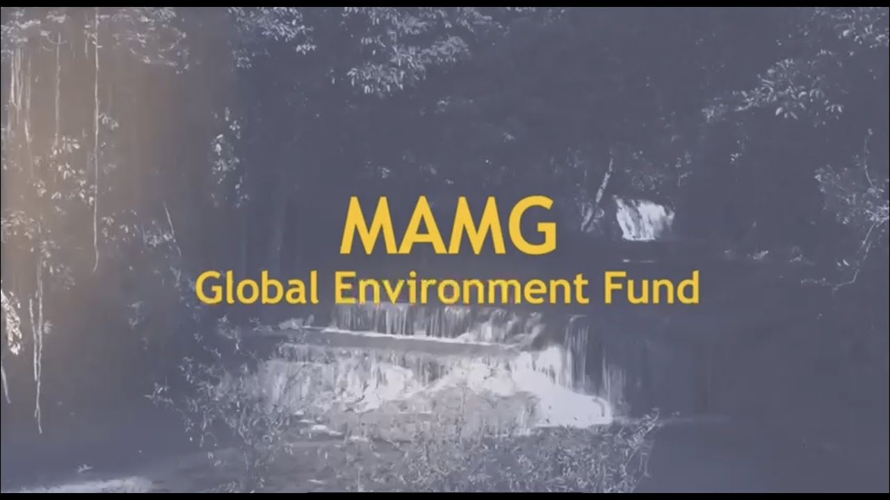 MAMG Global Environment Fund - YouTube
