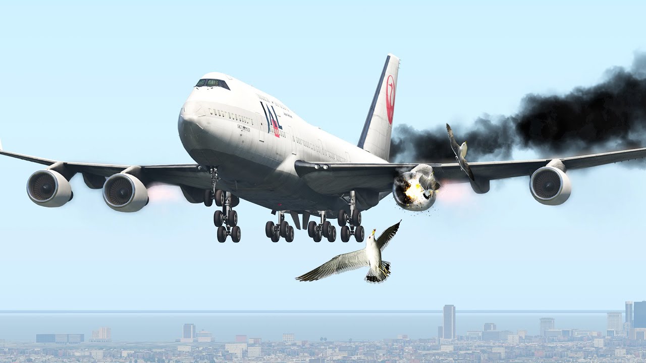 Boeing 747 Bird Strike Emergency Landing | Xplane 11 - YouTube