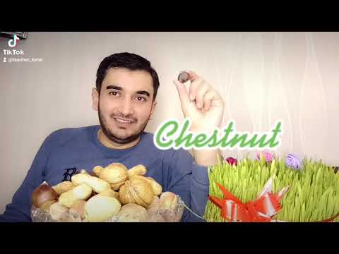 Happy Novruz