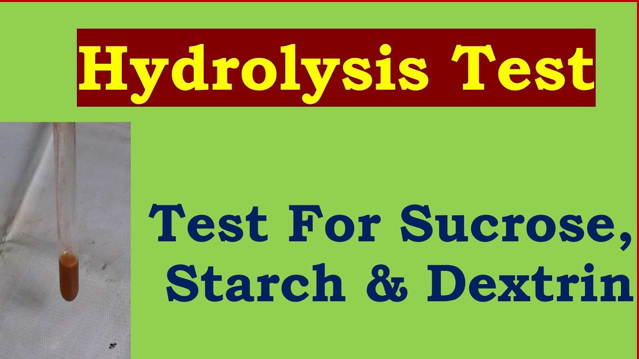 Hydrolysis Test For Sucrose & Polysaccharides ( Starch & Dextrin) - YouTube