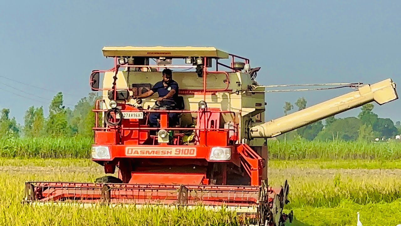 DASHMESH Combine PADDY Harvesting..#combinevideo #harvester #combine ...