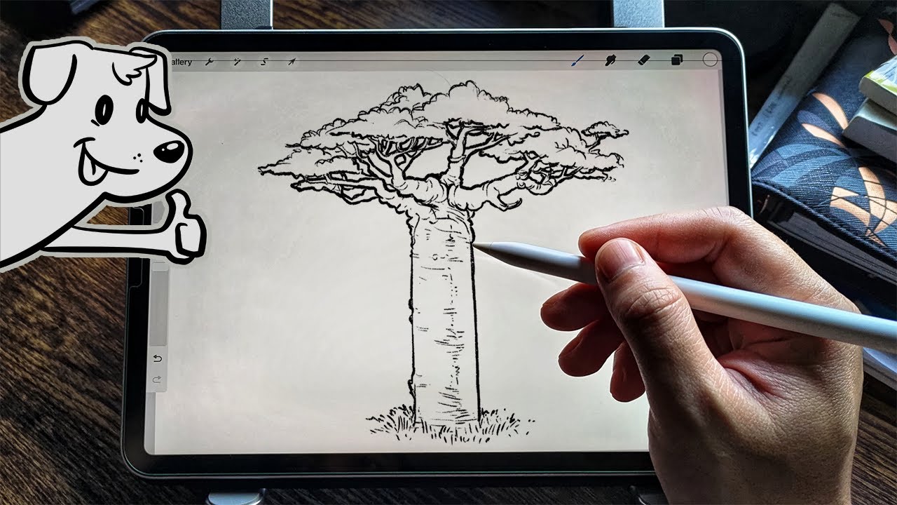 How to draw Baobab tree 🌳 - YouTube