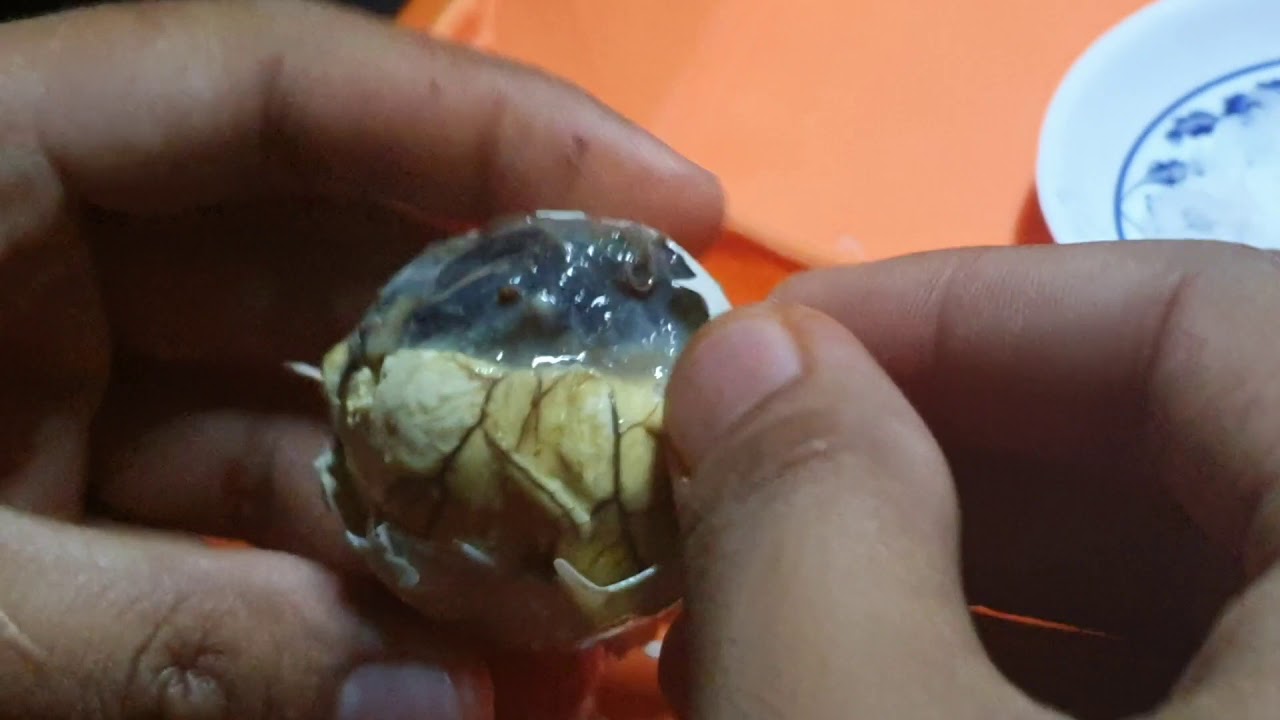 eating balot - YouTube