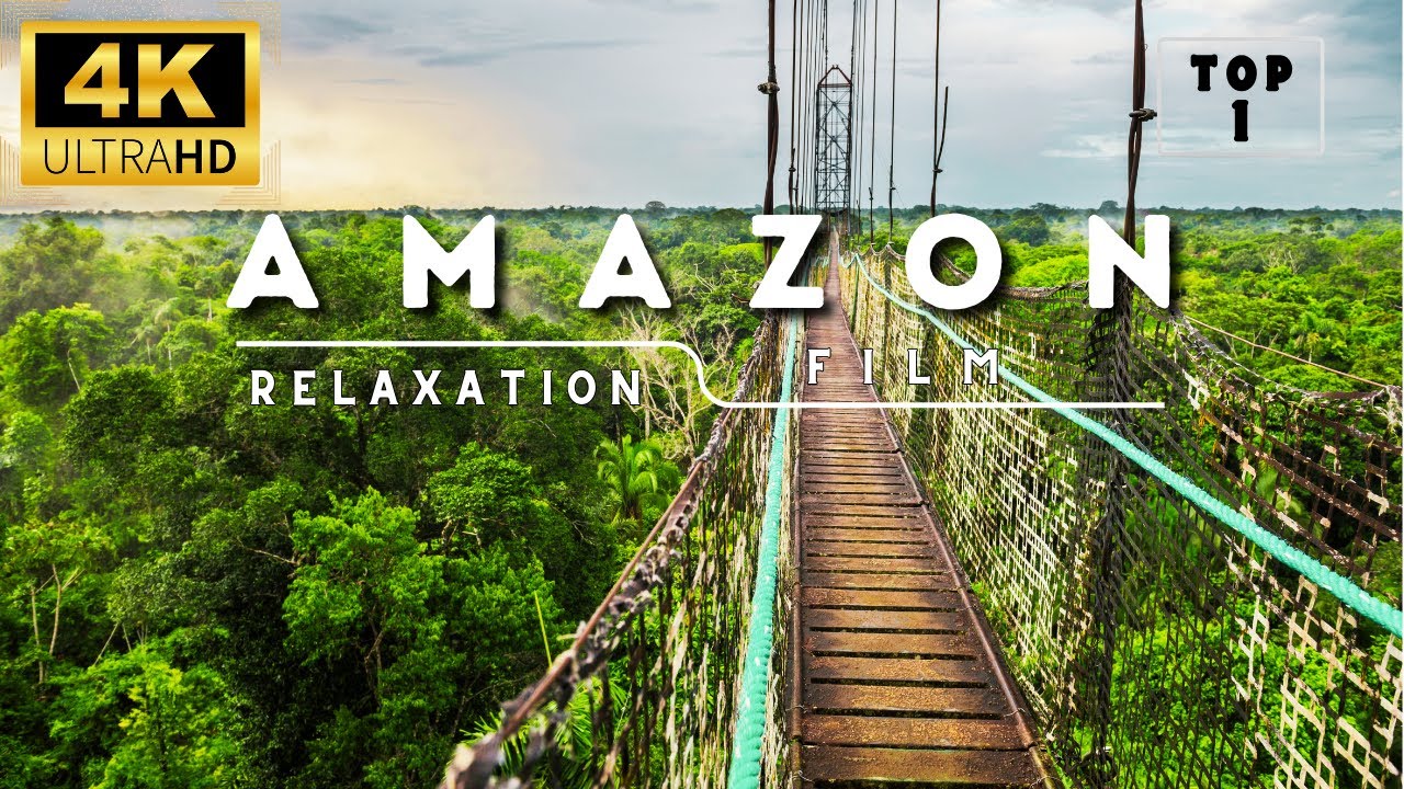 Amazon Rainforest: A Must-See for Nature Lovers - YouTube