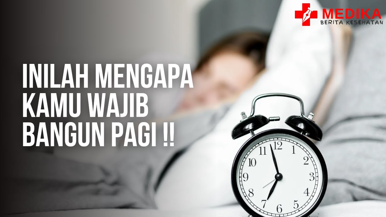 5 Manfaat Hebat Bangun Pagi untuk Pekerja Produktif - YouTube