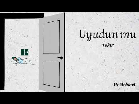 Tekir “Uyudun Mu”