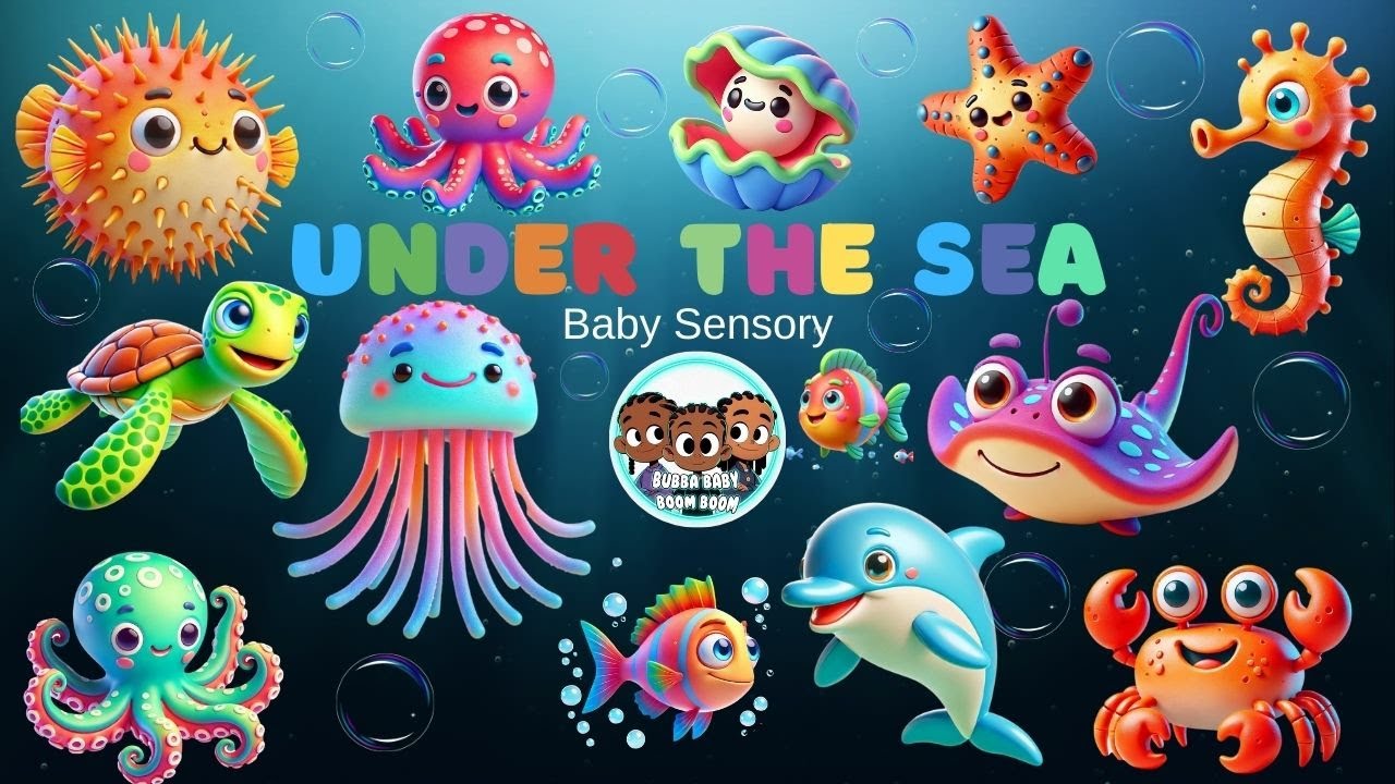 Baby Sensory Ocean Sea Marine Aquatic Animals Dolphin Whales Fish and ...