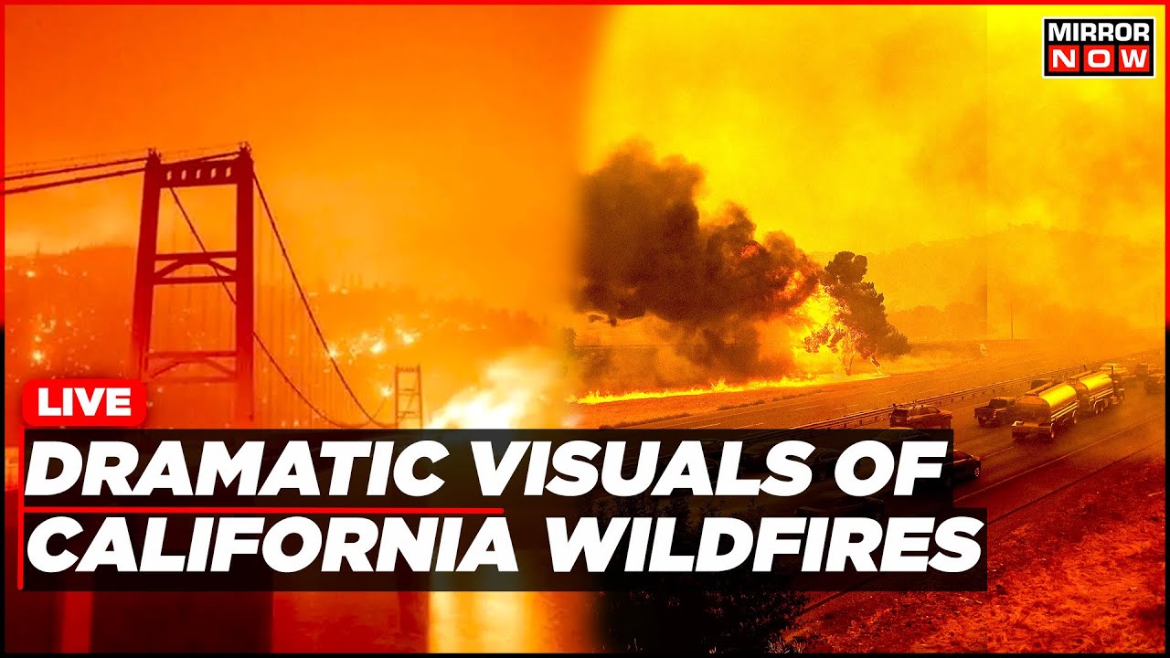 California Line Wildfires LIVE: Dramatic Visuals Of Razing Fire | Sky ...