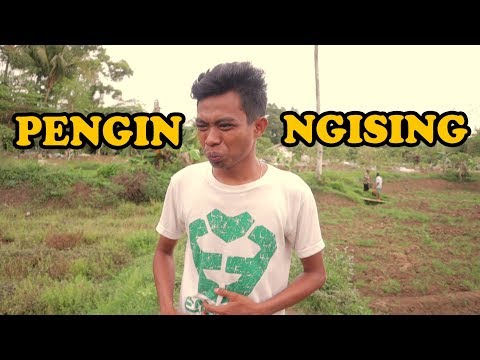 KONCI #51 | KOMEDI NGAPAK CILACAP | PENGIN NGISING