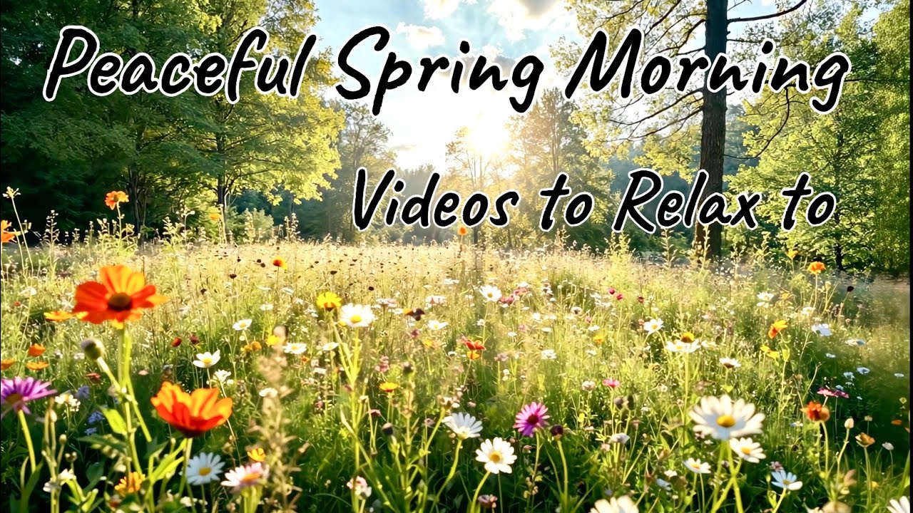 🌸Peaceful Spring Morning | Happy & Calming Music with Nature Sounds ...