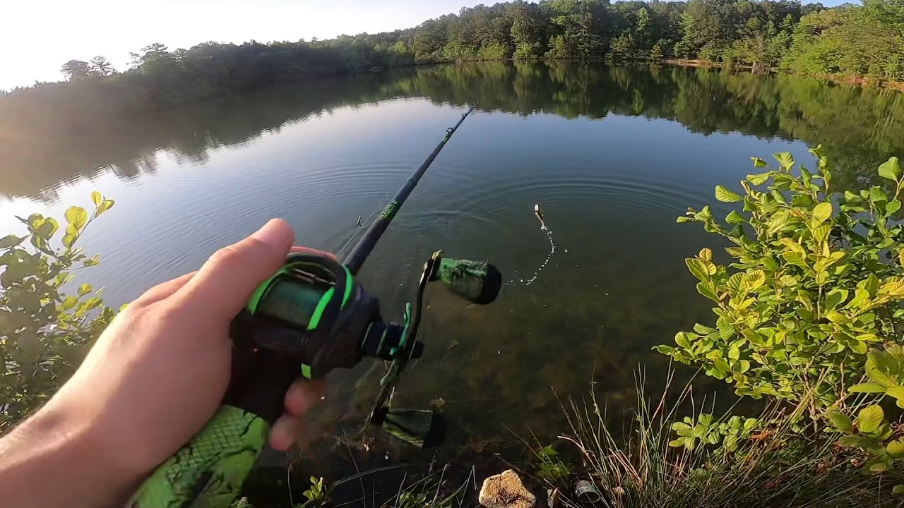 10 Lb Largemouth bass - YouTube