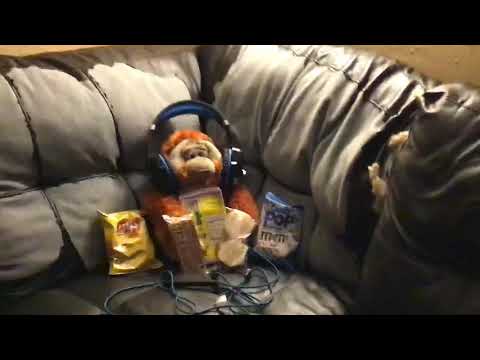 Monkey rap - YouTube