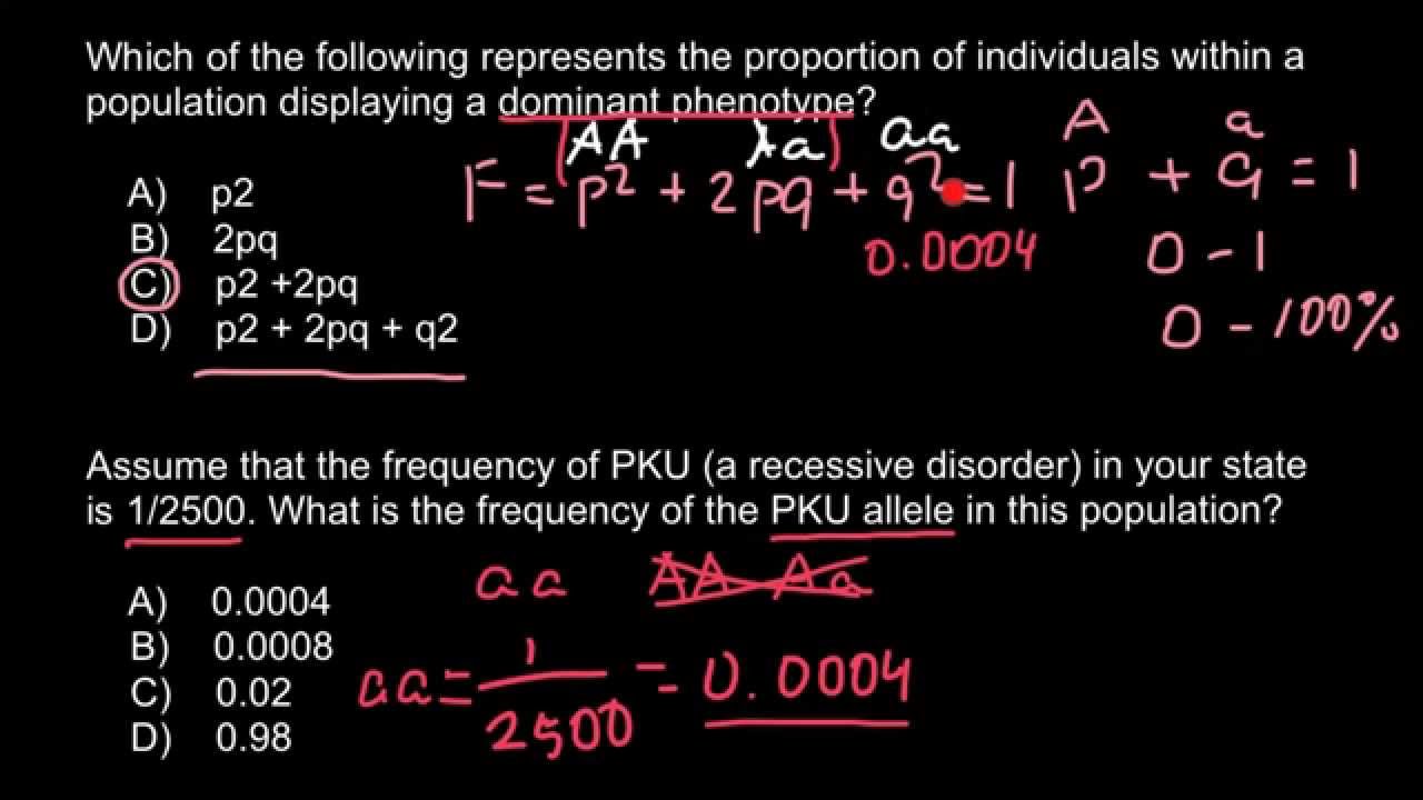 How To Find Frequency Of Alleles In A Population YouTube how-to-find-frequency-of-alleles-in-a-population-youtube