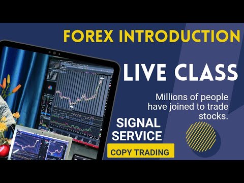 Copy Trading Forex Learning Live Class #1 - YouTube