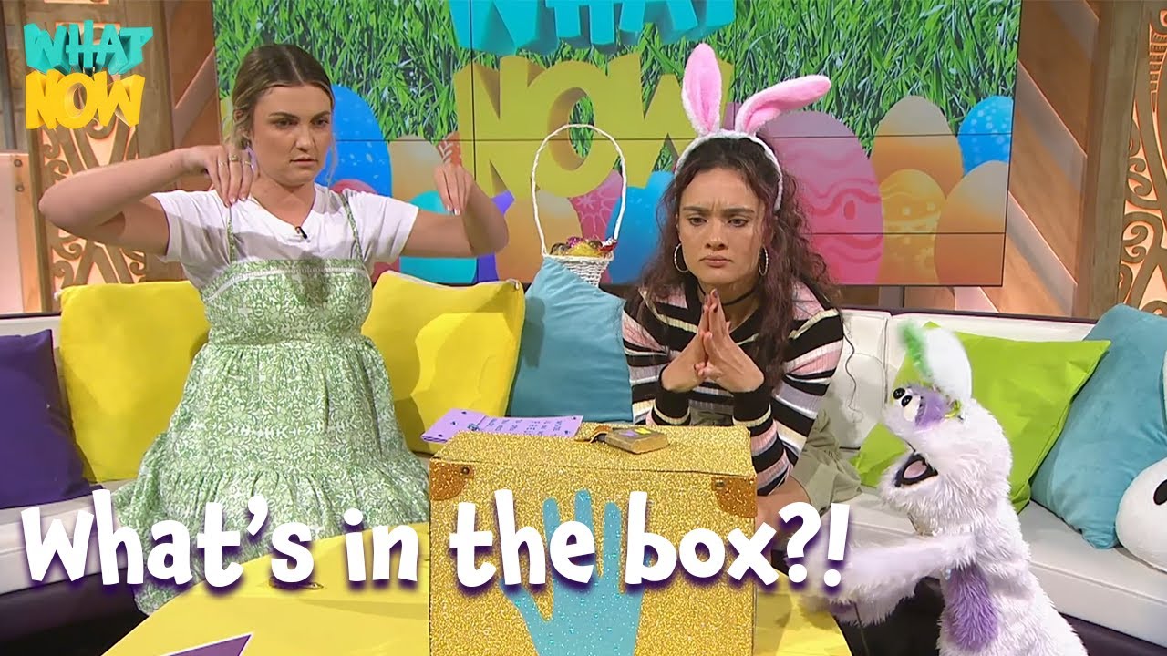 What's in the Box? | Live on What Now - YouTube