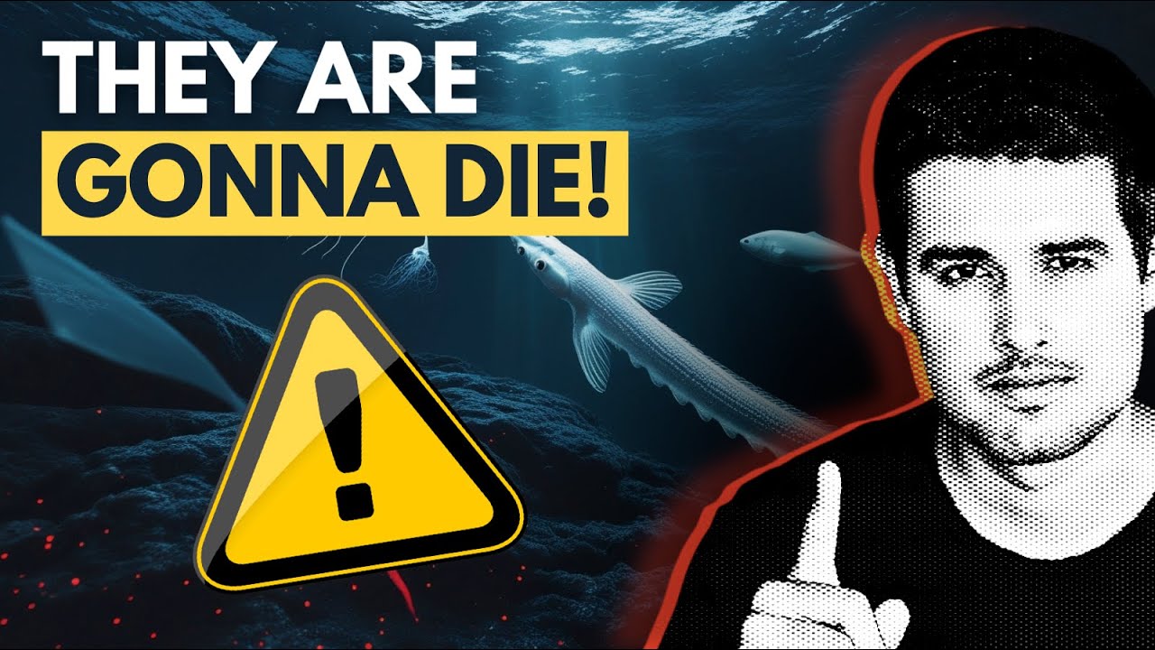 Why are Deep Sea Creatures coming to surface? | Summarising Dhruv ...