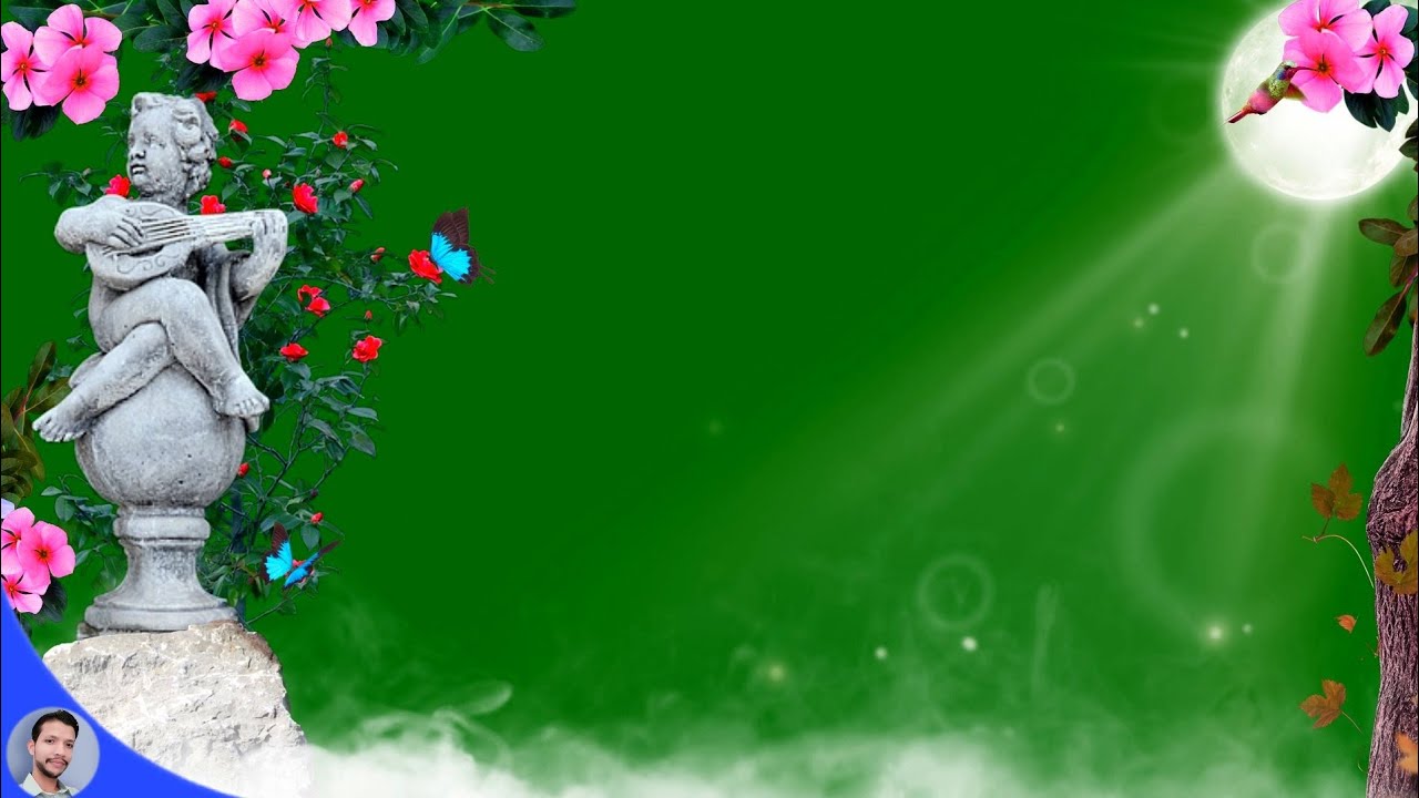 New Green Screen Effects / Nature Green Screen / Background Video ...