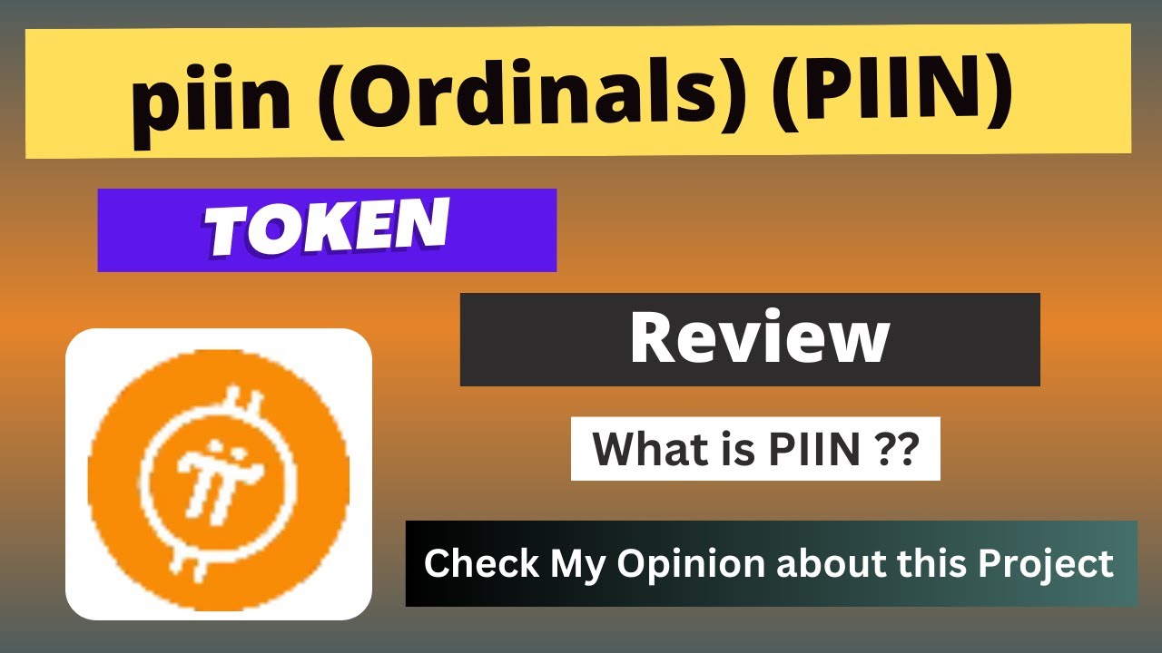 What is piin (Ordinals) (PIIN) Coin | Review About PIIN Token - YouTube