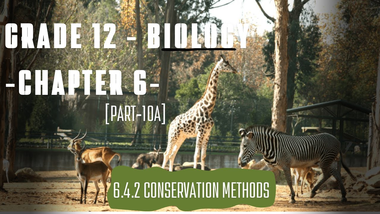 Grade 12 Biology: Chapter 6 - part (10A) - YouTube