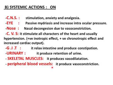 Sympathomimetic and Sympatholytic drugs - YouTube