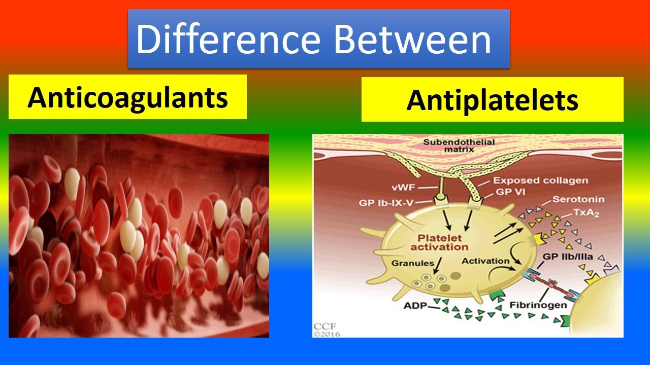 Difference Between Anticoagulants and Antiplatelets - YouTube