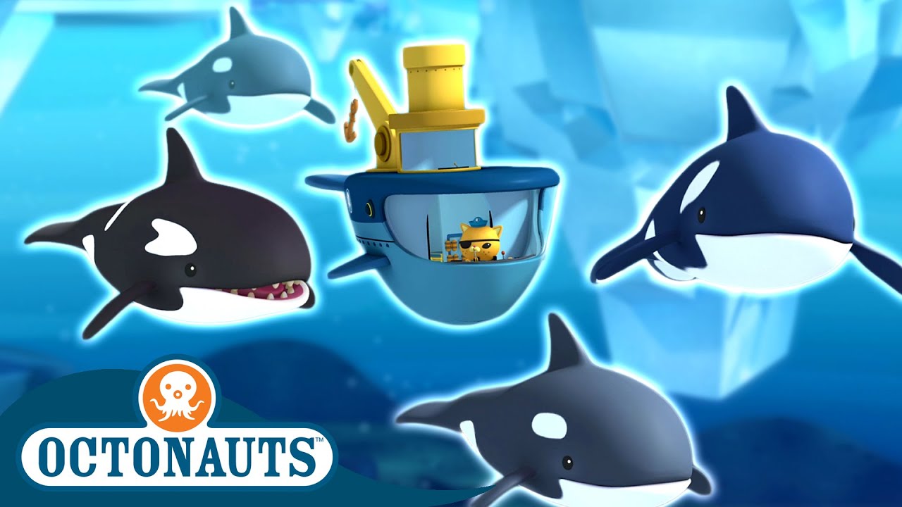 @Octonauts - Whales Mega Compilation | 100 Mins+ | Cartoons for Kids ...