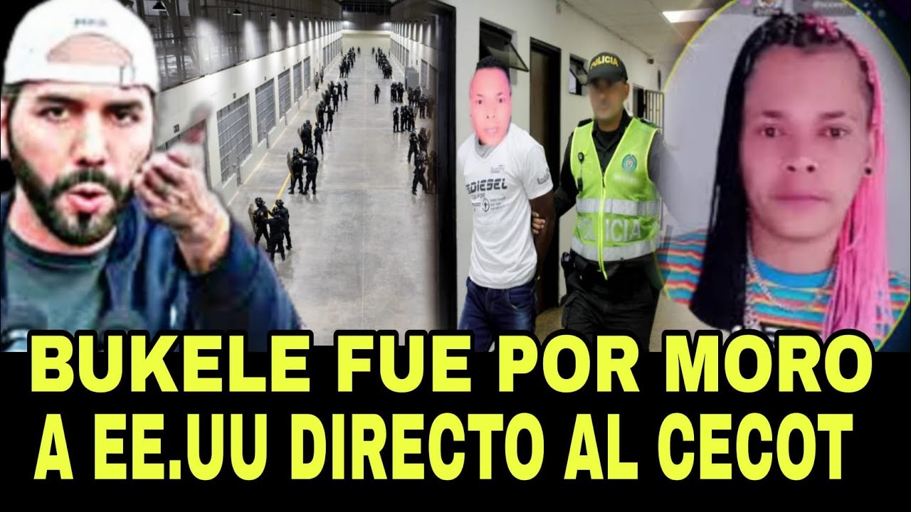 BUKELE FUE POR EL MORO VA DIRECTO AL CECOT - YouTube