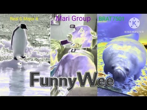 Wee Meme TikTok Compilation Animals Version 2021 Mari Group Real G ...