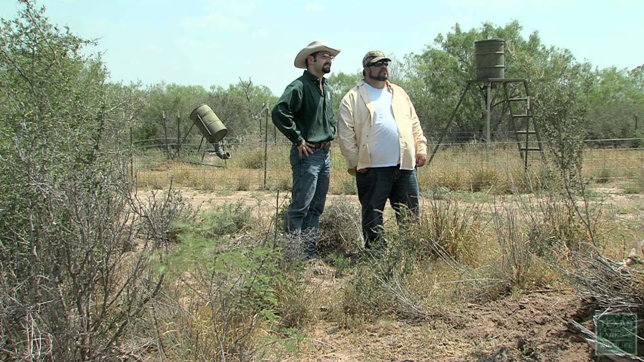 2012 Lone Star Land Steward: Arroyo Veleno - YouTube