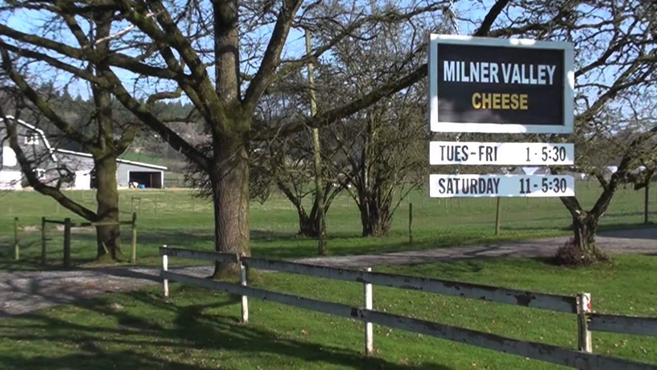 Day 9: Milner Valley Cheese - YouTube