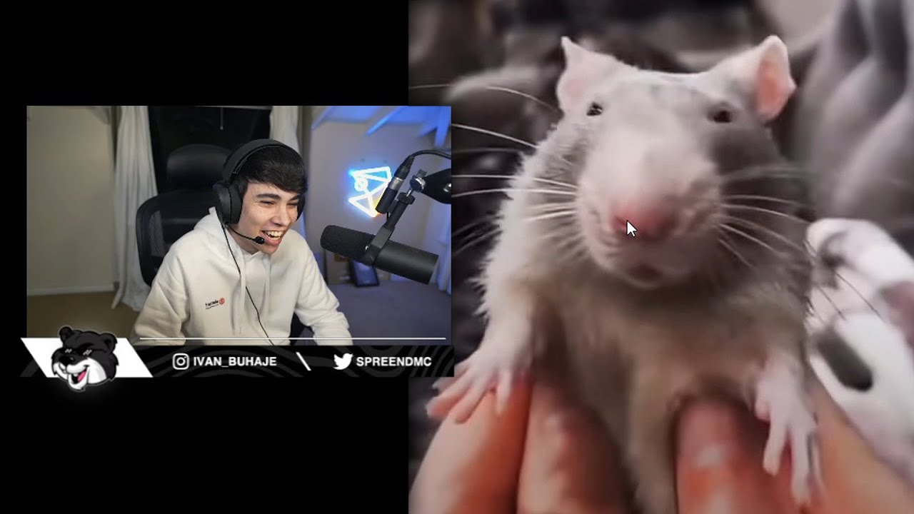 SPREEN VIENDO MEMES (PARTE 28) - YouTube