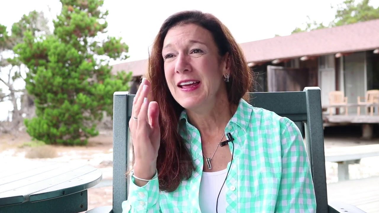 The ACEEE Ally Program - YouTube