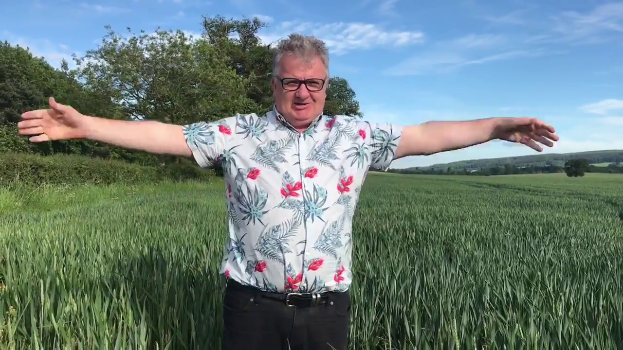 The Scarecrow Rap - YouTube