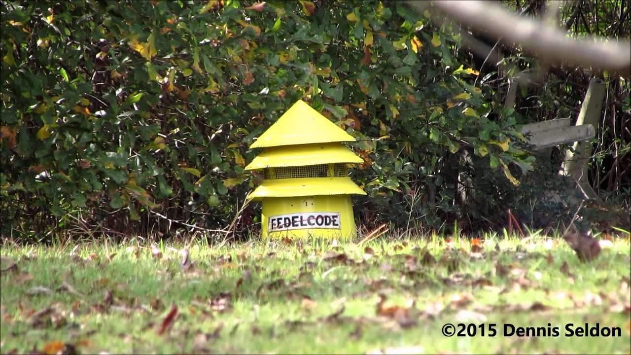 Fedelcode Model 1 Alert and Attack - Ellerslie, GA 11/21/15 - YouTube