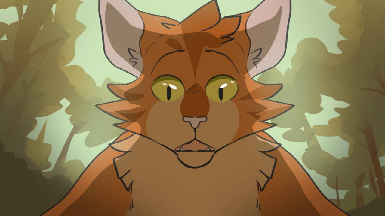 Stray cat strut part 18 - YouTube