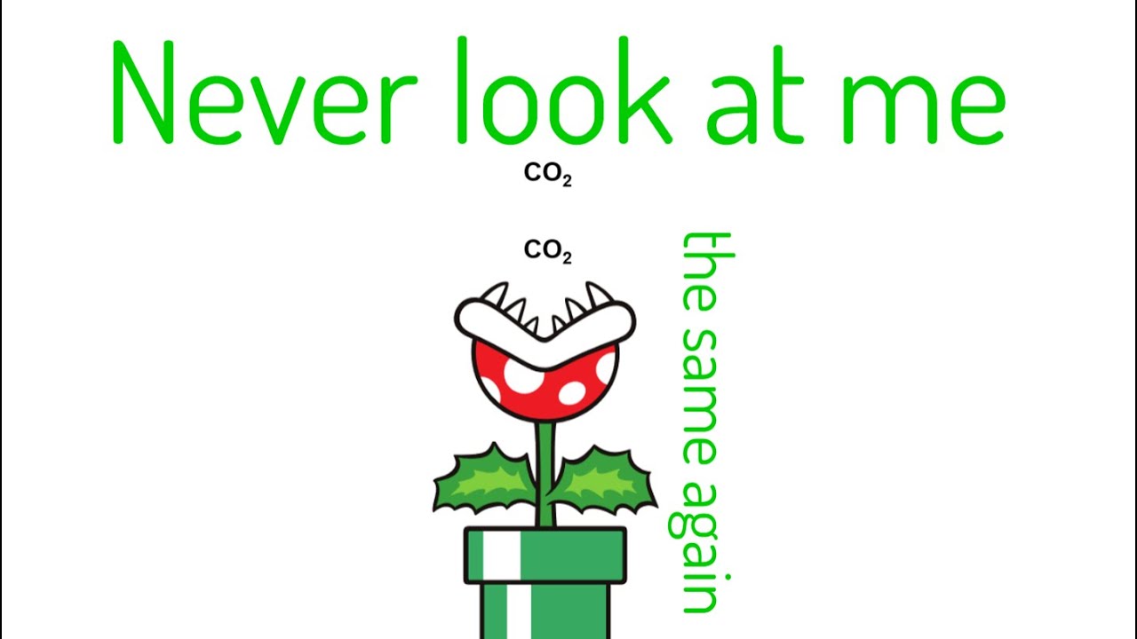 Never look at them "plants" the same ever again - YouTube