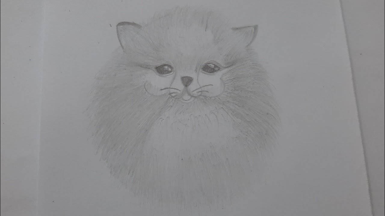 How To Draw Cute Pomeranian Puppy || Sketch || Simple Drawing of ...