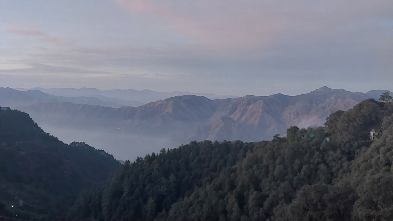 STUDY WITH ME LIVE ☕️ 🩺 🌱 🎀 📚 #NEETPG #MEDICO #MEDSTUDENT #DOCTOR # ...