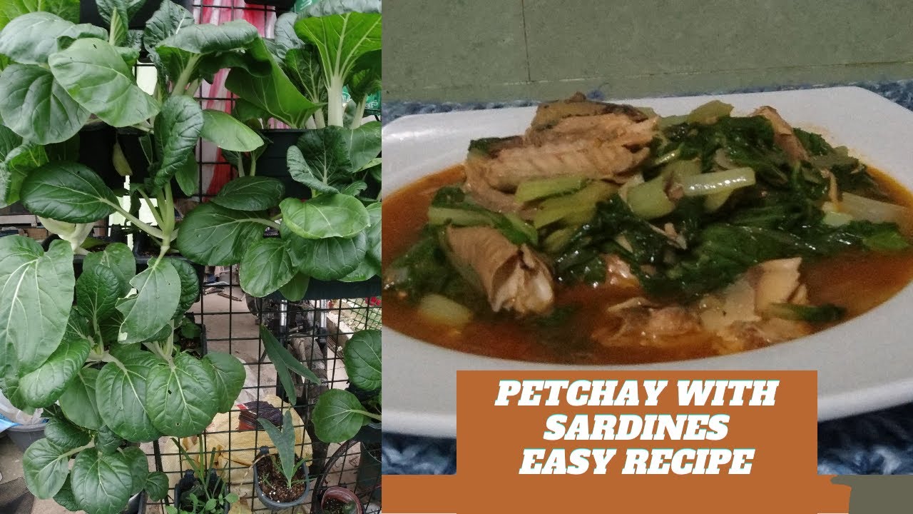 PETCHAY WITH SARDINES EASY RECIPE - YouTube