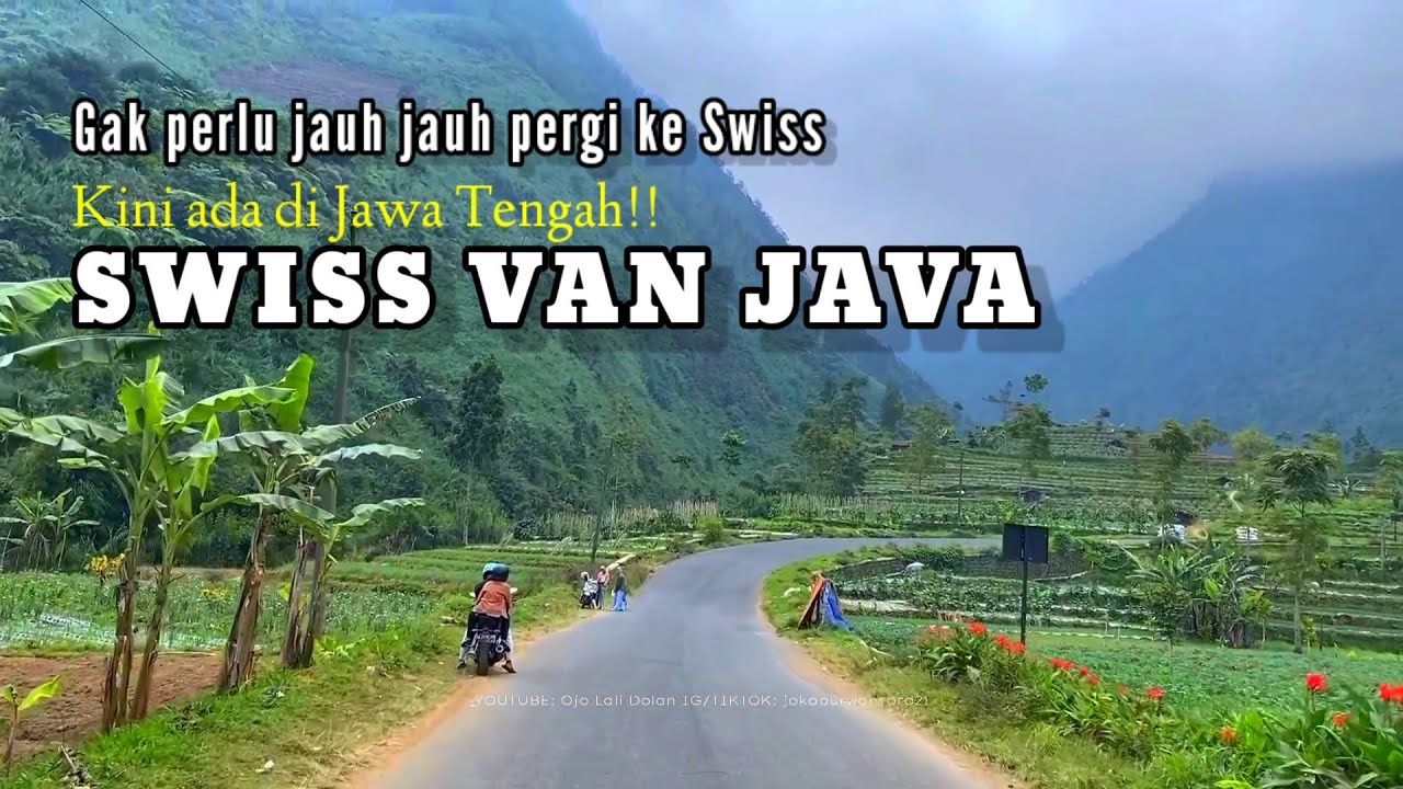 SWISS VAN JAVA Jalanan yang Membelah Gunung dengan view Keren - YouTube