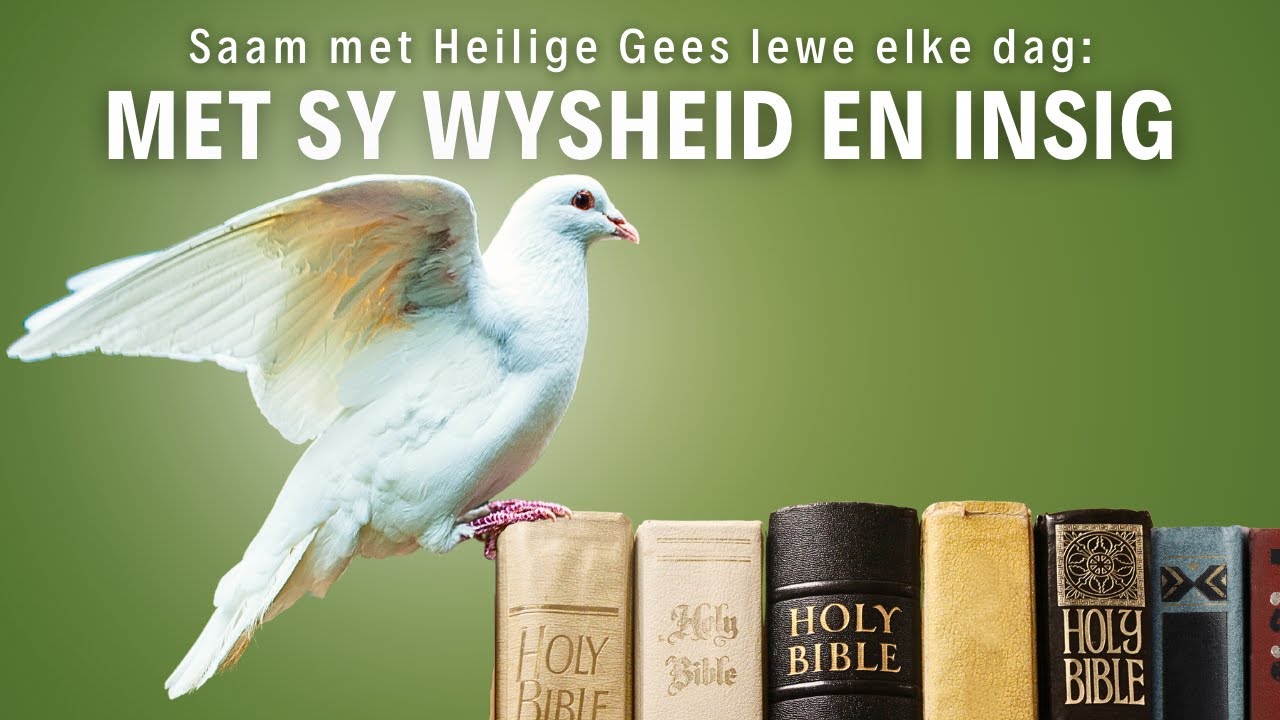 Lewe elke dag met die WYSHEID en INSIG van die Heilige Gees - YouTube