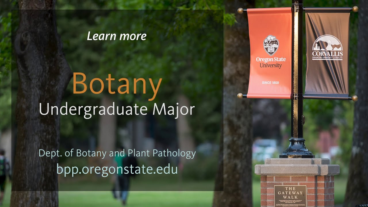 OSU Botany Undergraduate Major - YouTube