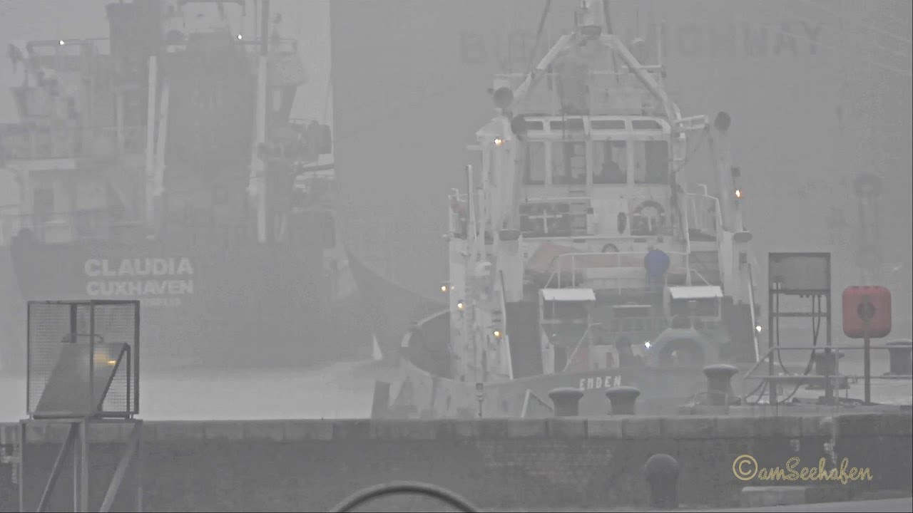 neblig Im-& Export KFZ BISHU HIGHWAY 7JFK IMO 9409340 Emden im ...