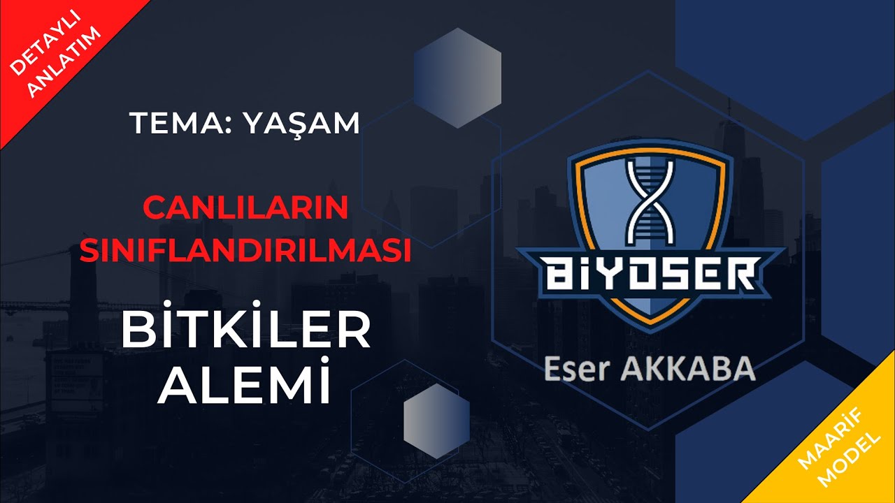 BİTKİLER ALEMİ – CANLILARIN SINIFLANDIRILMASI | 9. Sınıf Detaylı ...