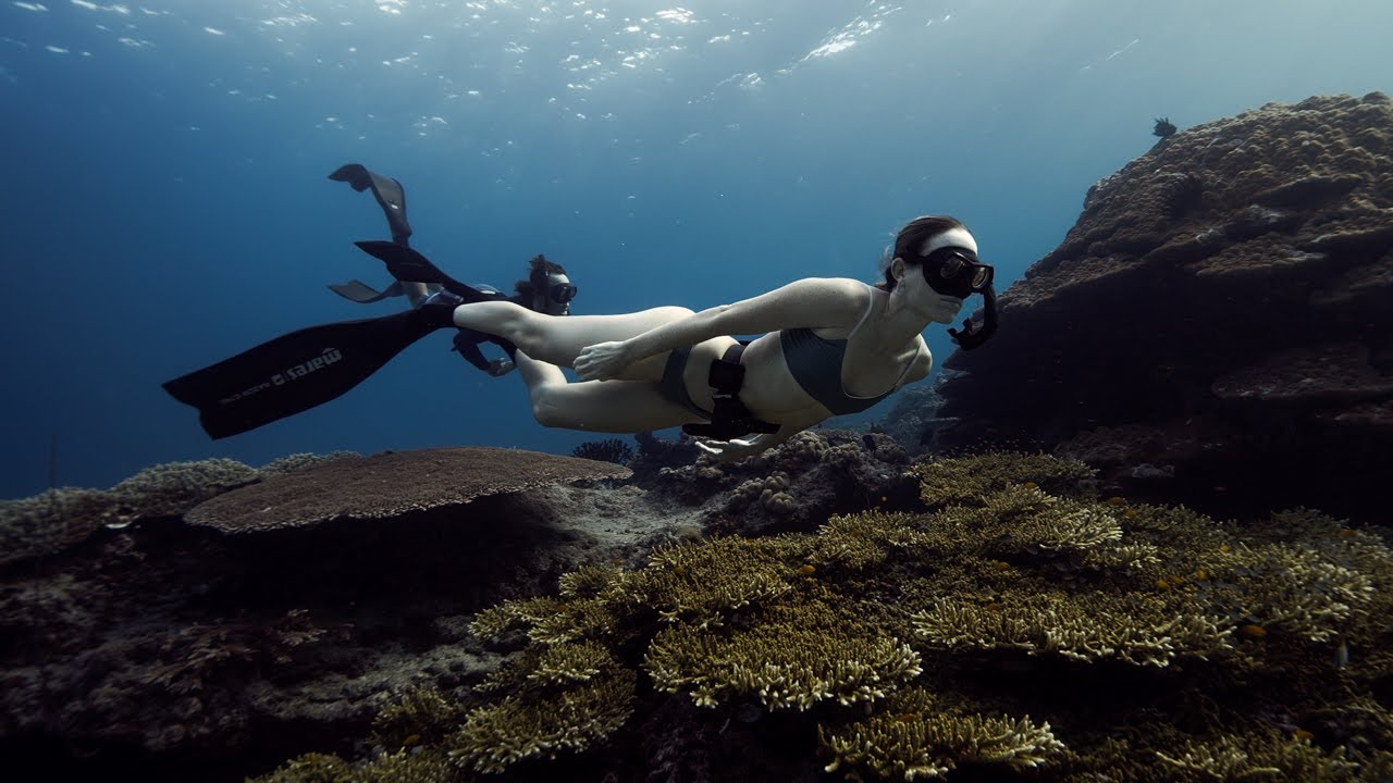 Freedive With Me On One Of The Most Incredible Coral Reefs In The World Ep54 Youtube