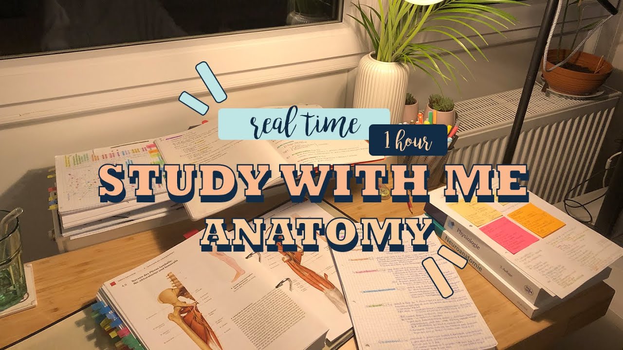Real time study with me - Anatomy (med student) - YouTube